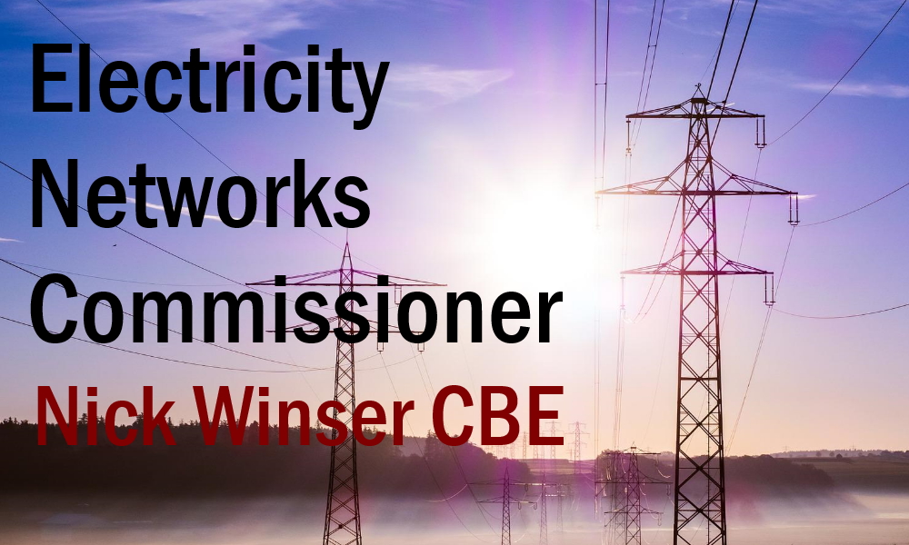 New Electricity Networks Commissioner appointed to help ensure home ...